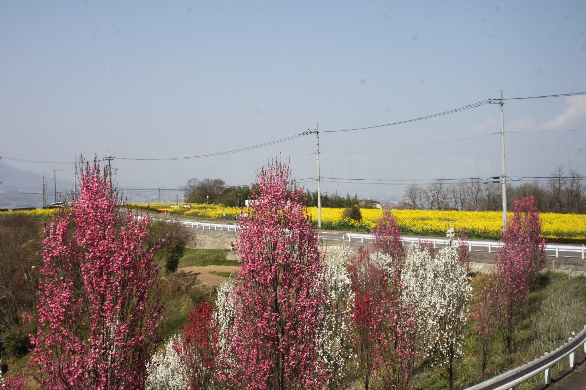 Warning : Undefined array key 0 in /home/tsunoq/kibounooka.net/public_html/wp/wp-content/themes ...